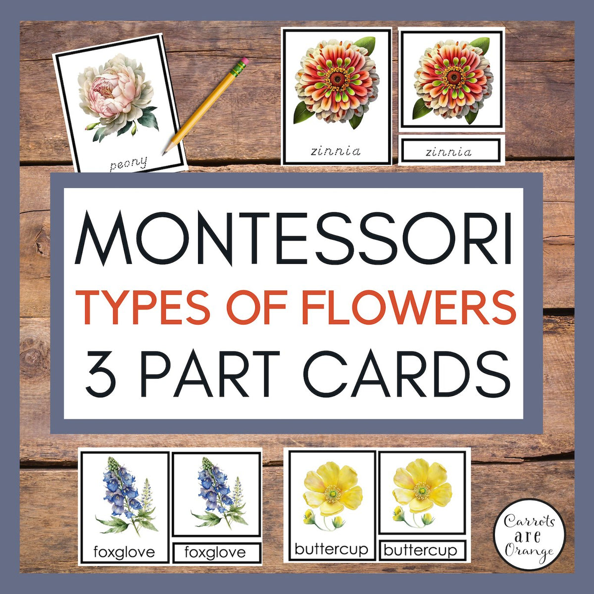 [3 Part Cards] Types of Flowers | Printables by Carrots Are Orange