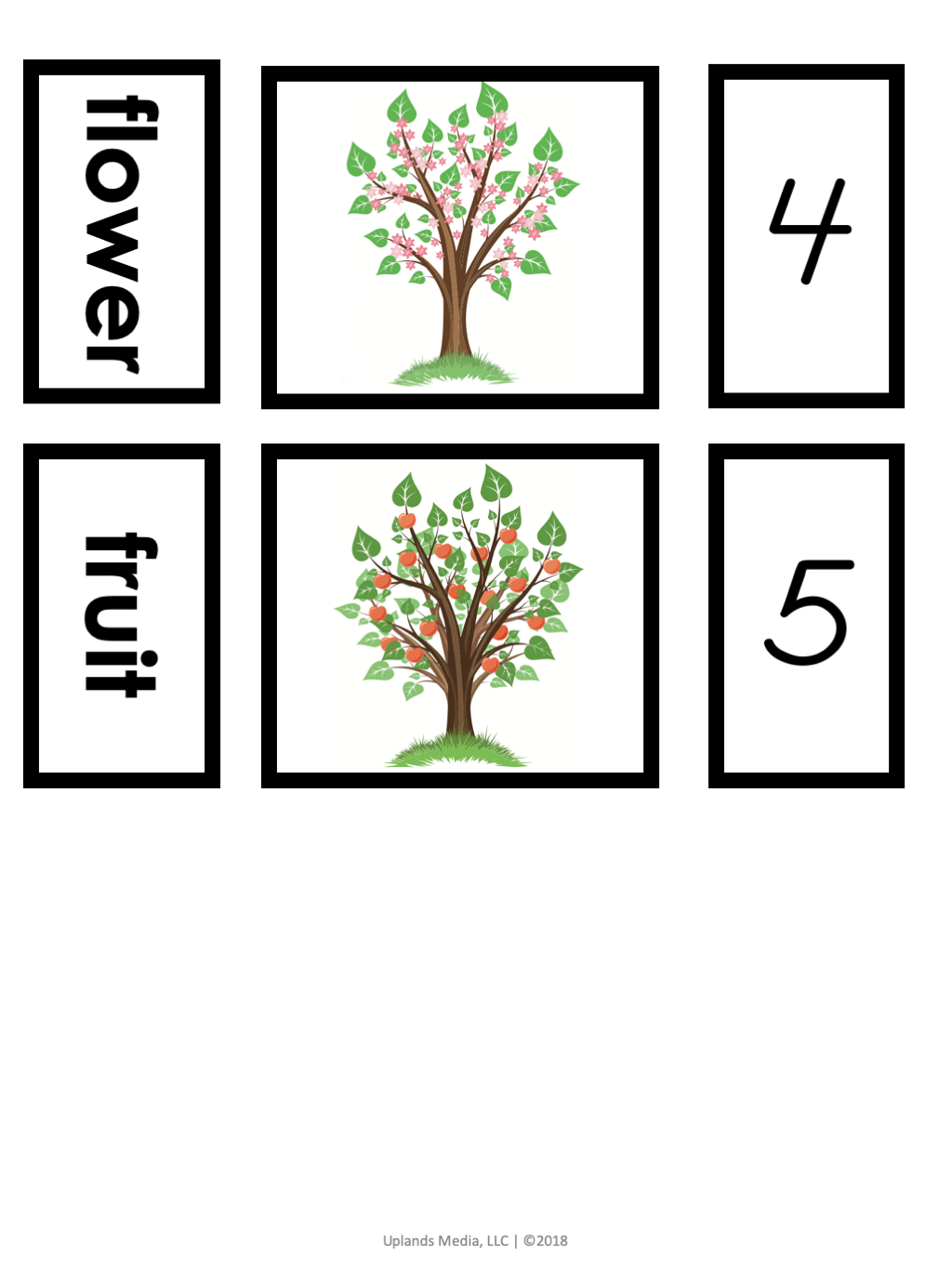 [Language] Sequencing Strips - Apple Theme | Printables by Carrots Are ...