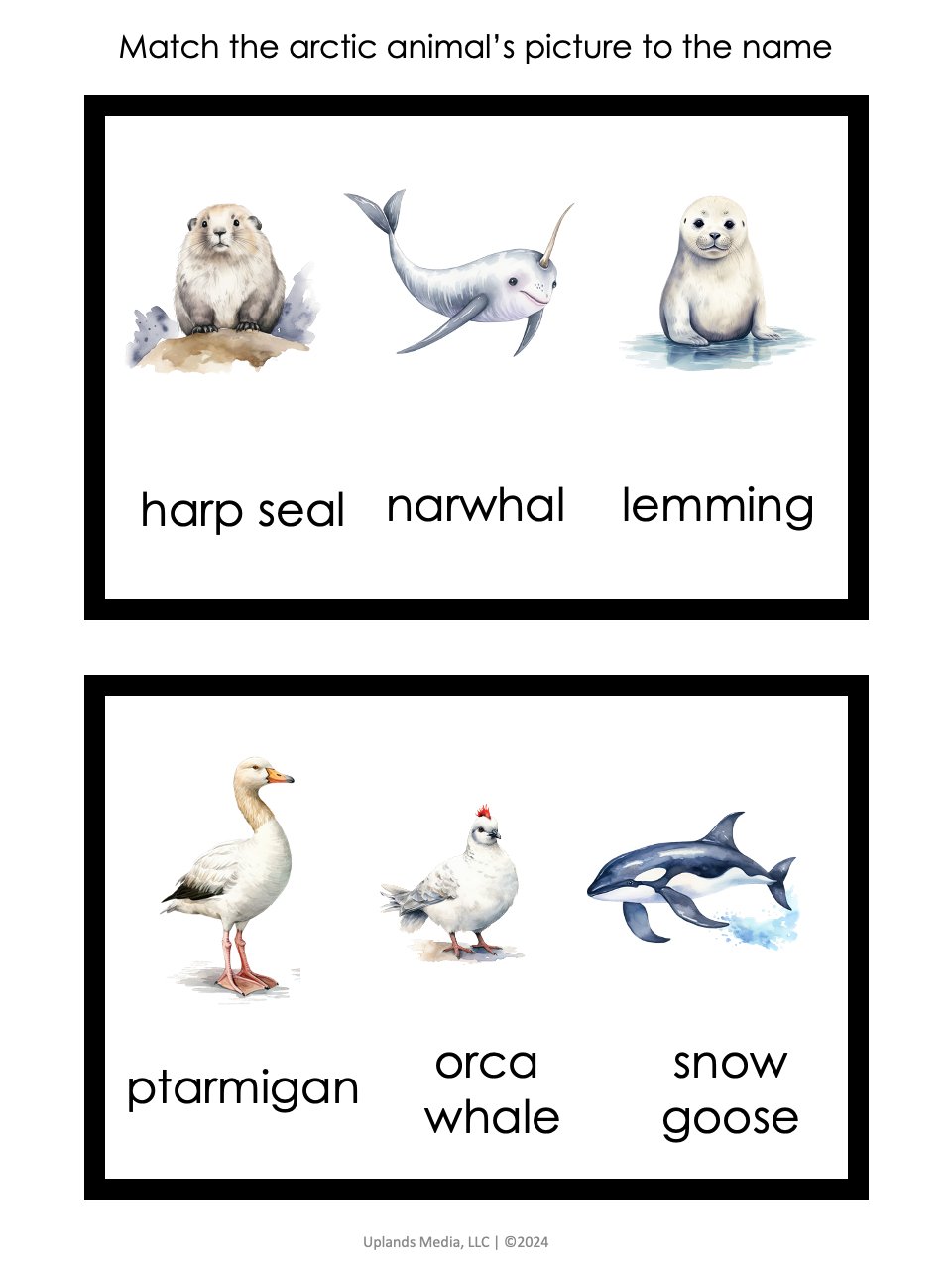 🐻‍ ️ Activities Pack [Arctic Theme] | Printables by Carrots Are Orange