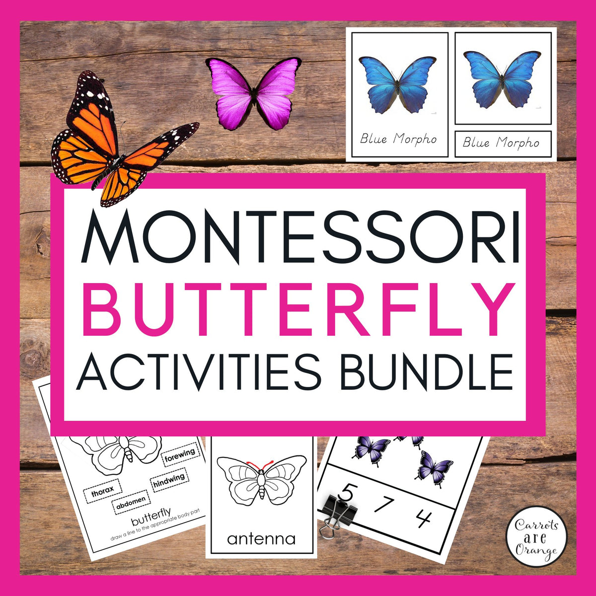 [Activities Pack] Butterfly Theme | Printables by Carrots Are Orange