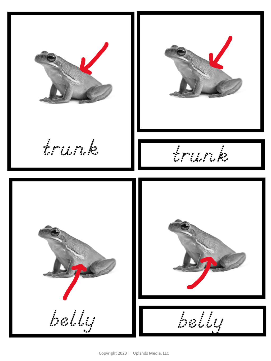 [Activities Pack] Frog Themed | Printables by Carrots Are Orange