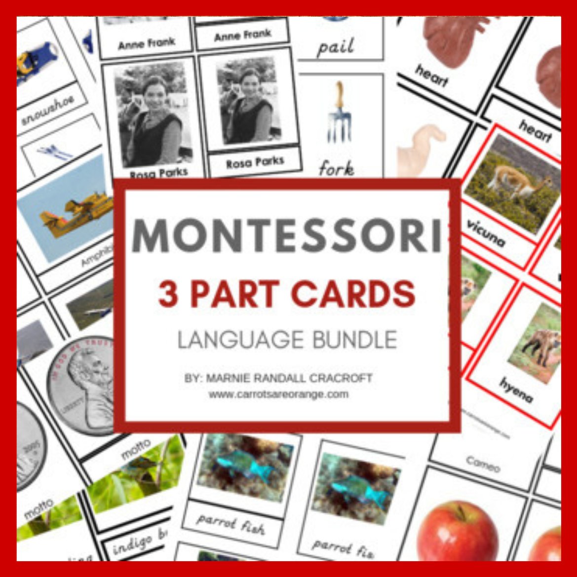 [Bundle] Montessori 3 Part Cards | Printables by Carrots Are Orange