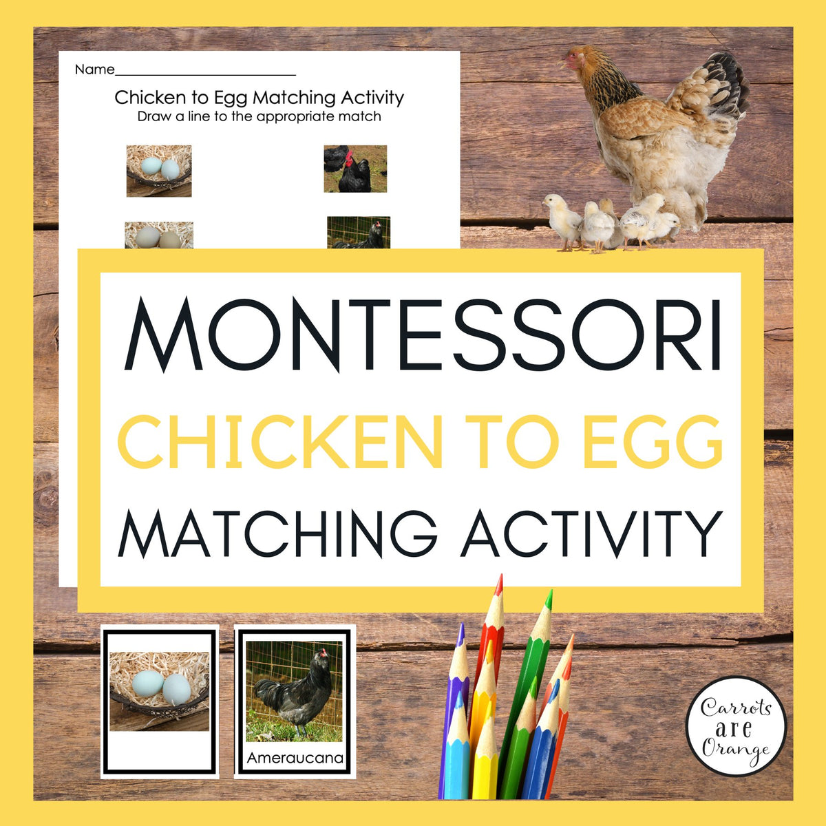 🐣 Chicken to Egg Matching Activity | Printables by Carrots Are Orange