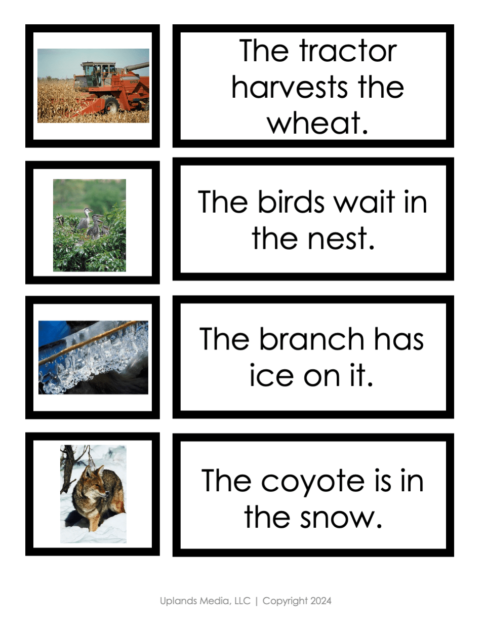 [Green Series] Sentence Strips | Printables by Carrots Are Orange