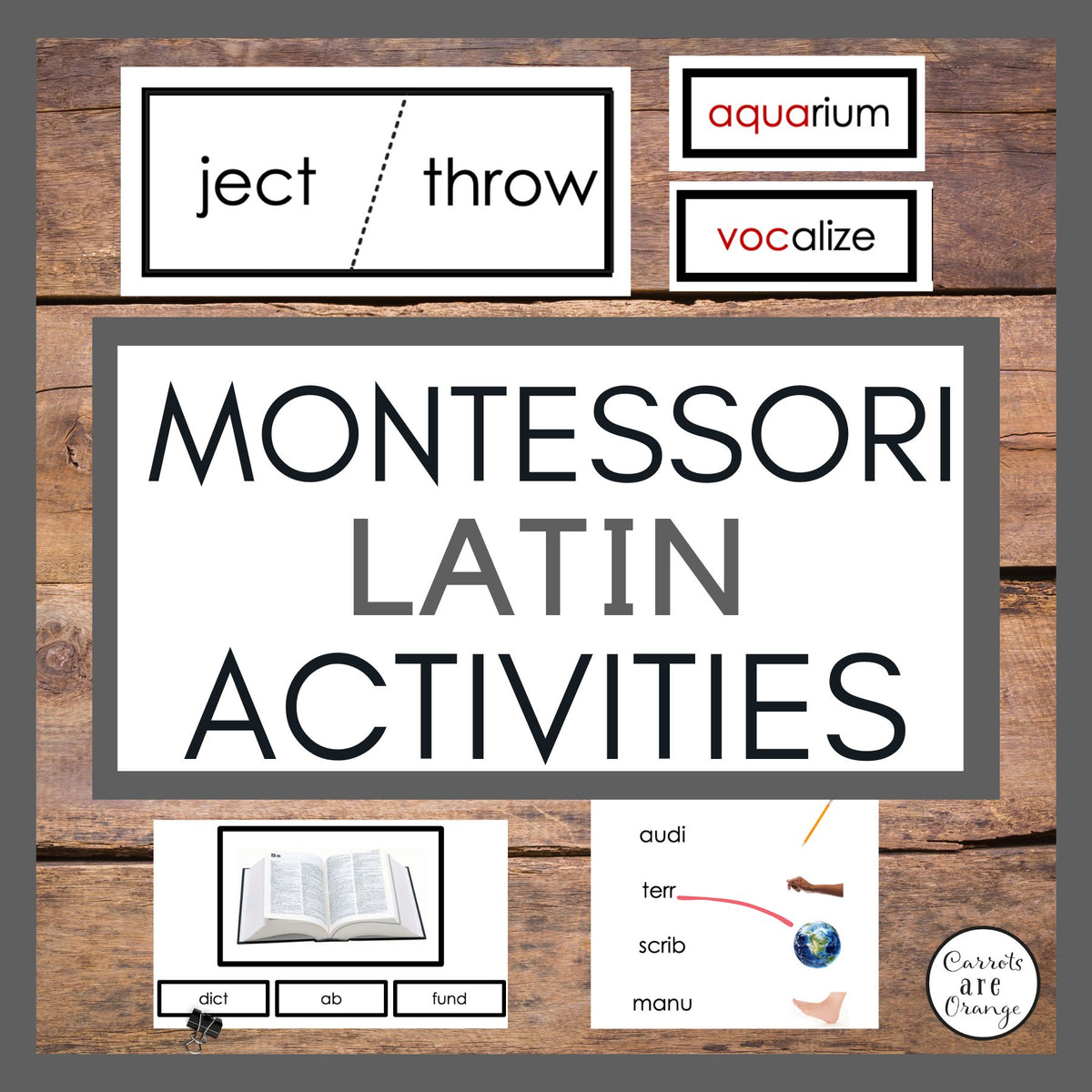[Language] Latin Activities Pack | Printables by Carrots Are Orange