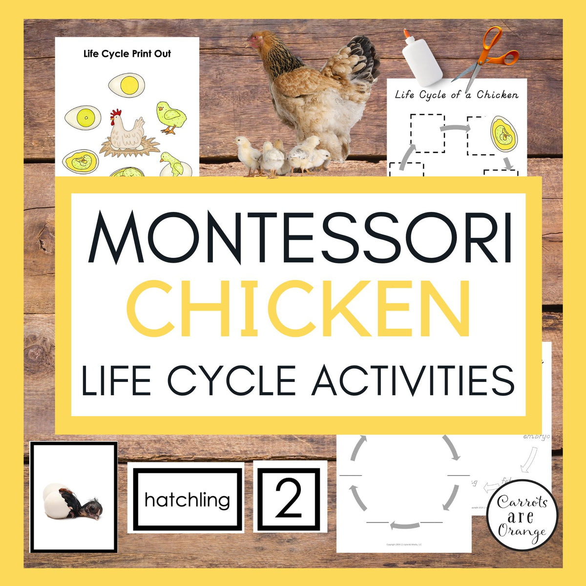 🐣 Life Cycle Activities [Chicken Theme] | Printables by Carrots Are Orange