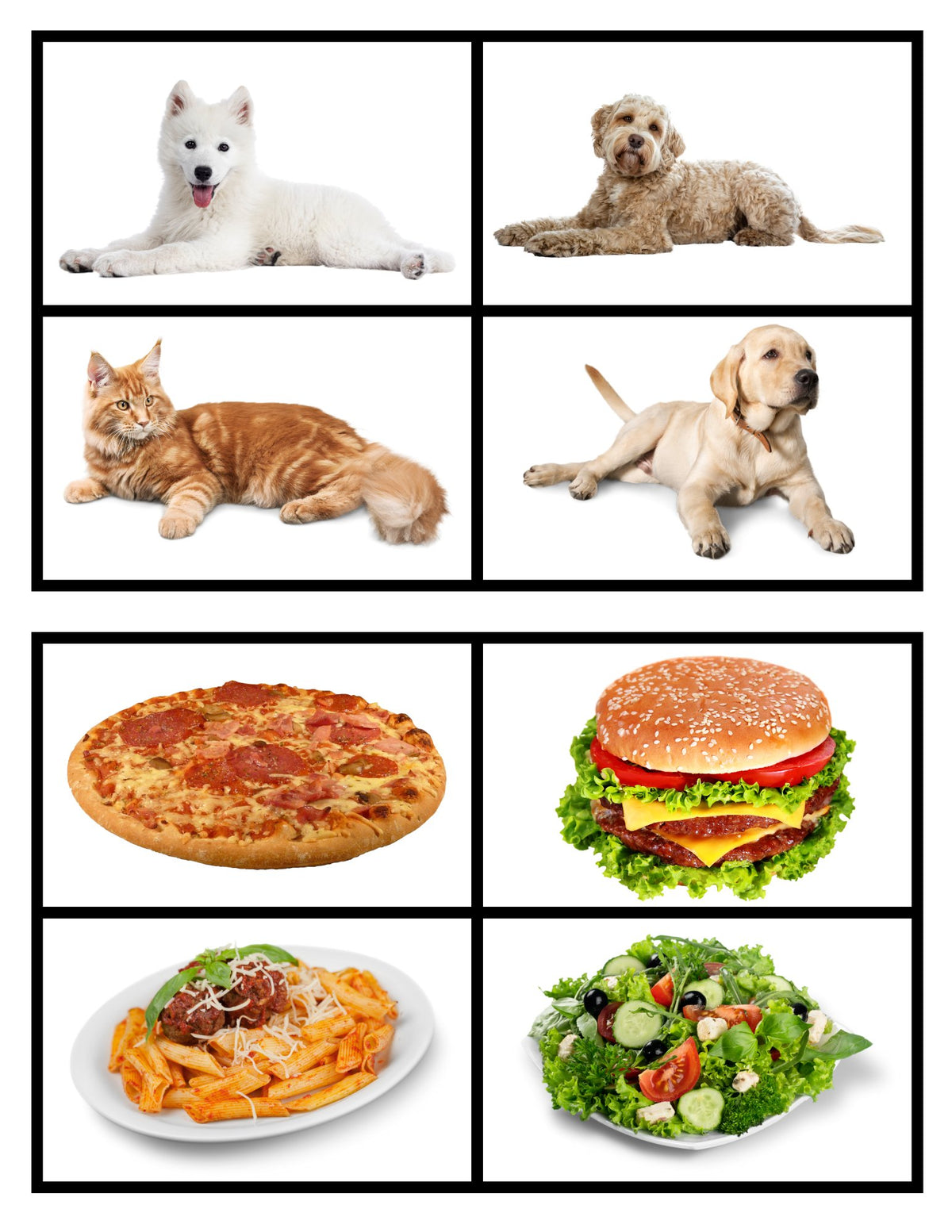 [Pre-Reading] "Does Not Belong" | Printables by Carrots Are Orange