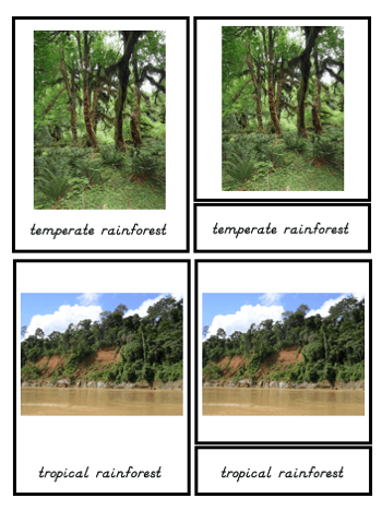 [Geography] Biomes of the World - Montessori 3 Part Cards | Printables ...
