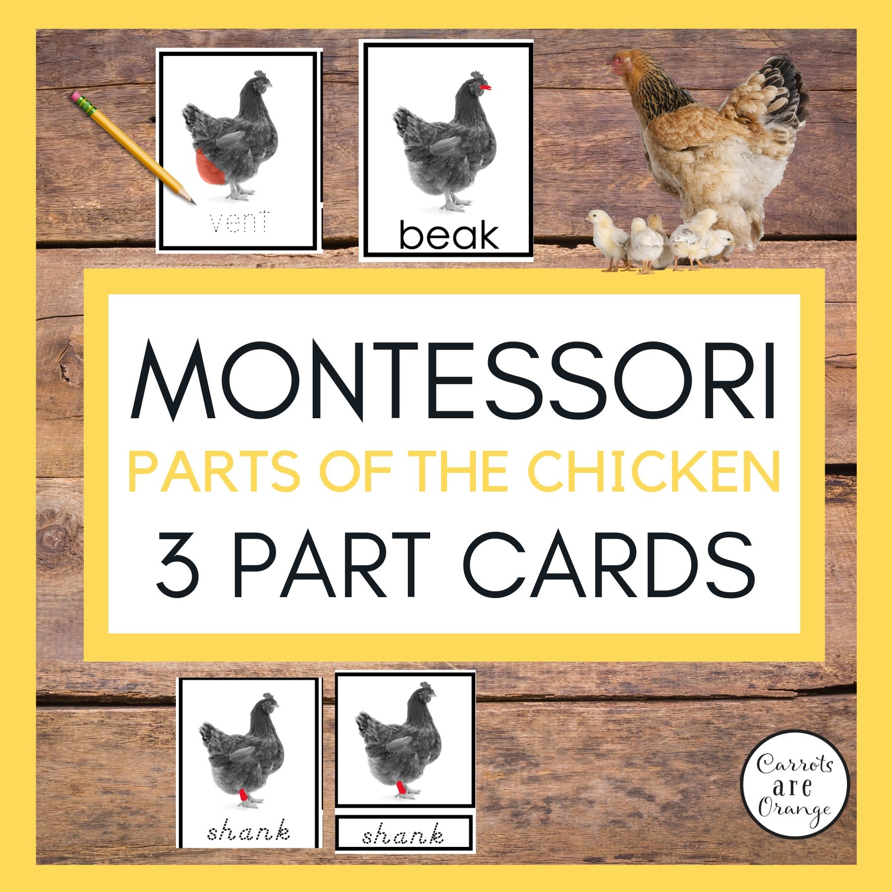 Products | Printables by Carrots Are Orange