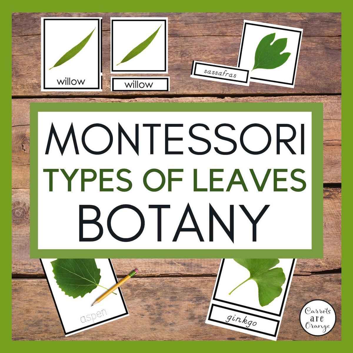 [3 Part Cards] Types of Leaves | Printables by Carrots Are Orange