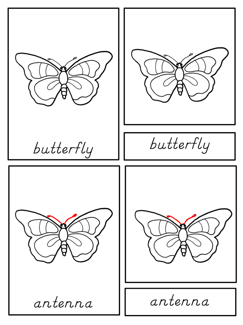 [Activities Pack] Butterfly Theme | Printables by Carrots Are Orange