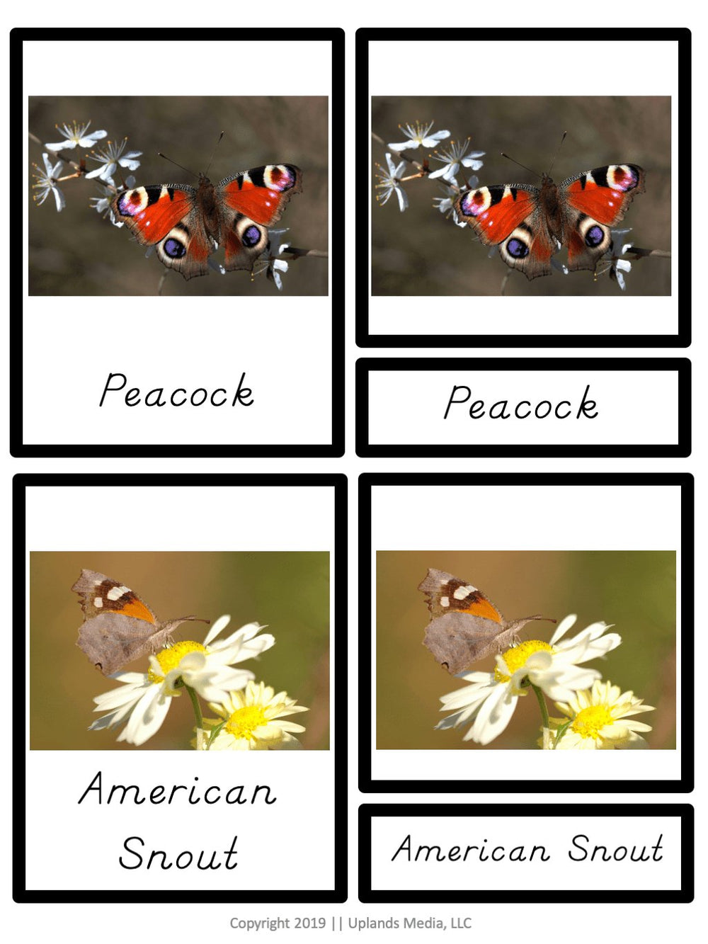 [Activities Pack] Butterfly Theme | Printables by Carrots Are Orange