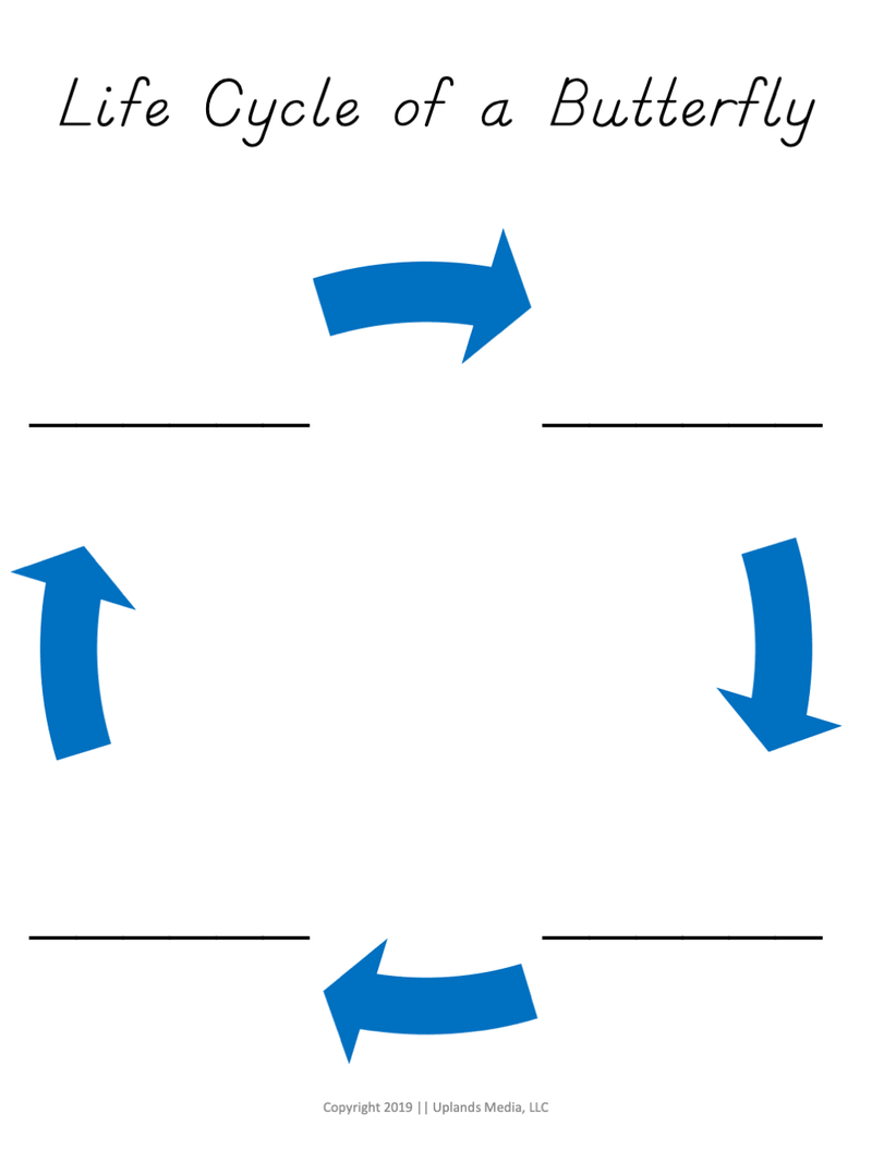 [Activities Pack] Butterfly Theme | Printables by Carrots Are Orange