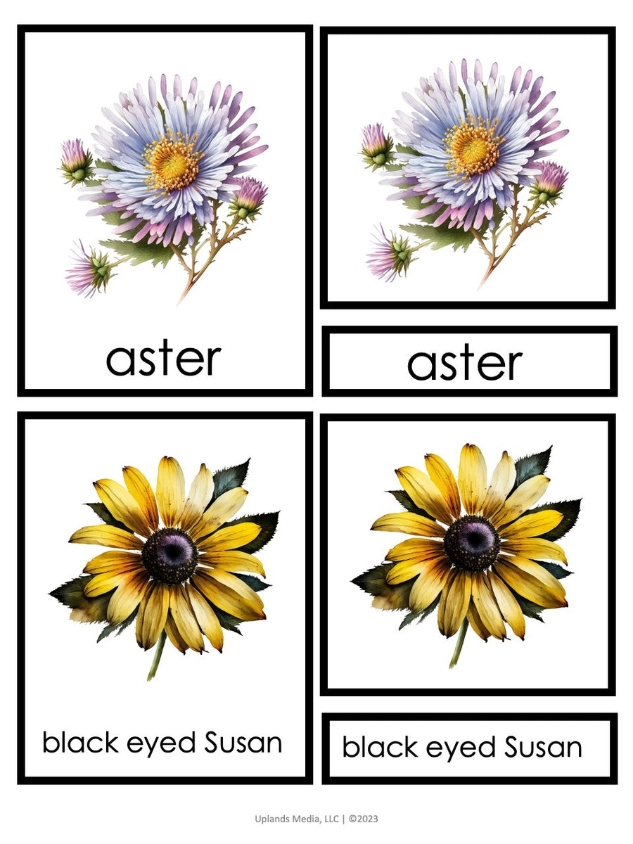 [Activities Pack] Flower Theme | Printables by Carrots Are Orange