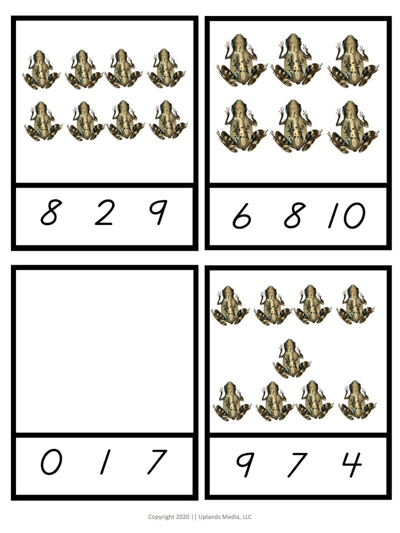 [Activities Pack] Frog Themed | Printables by Carrots Are Orange