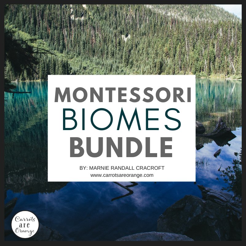 [Bundle] Biomes | Printables by Carrots Are Orange