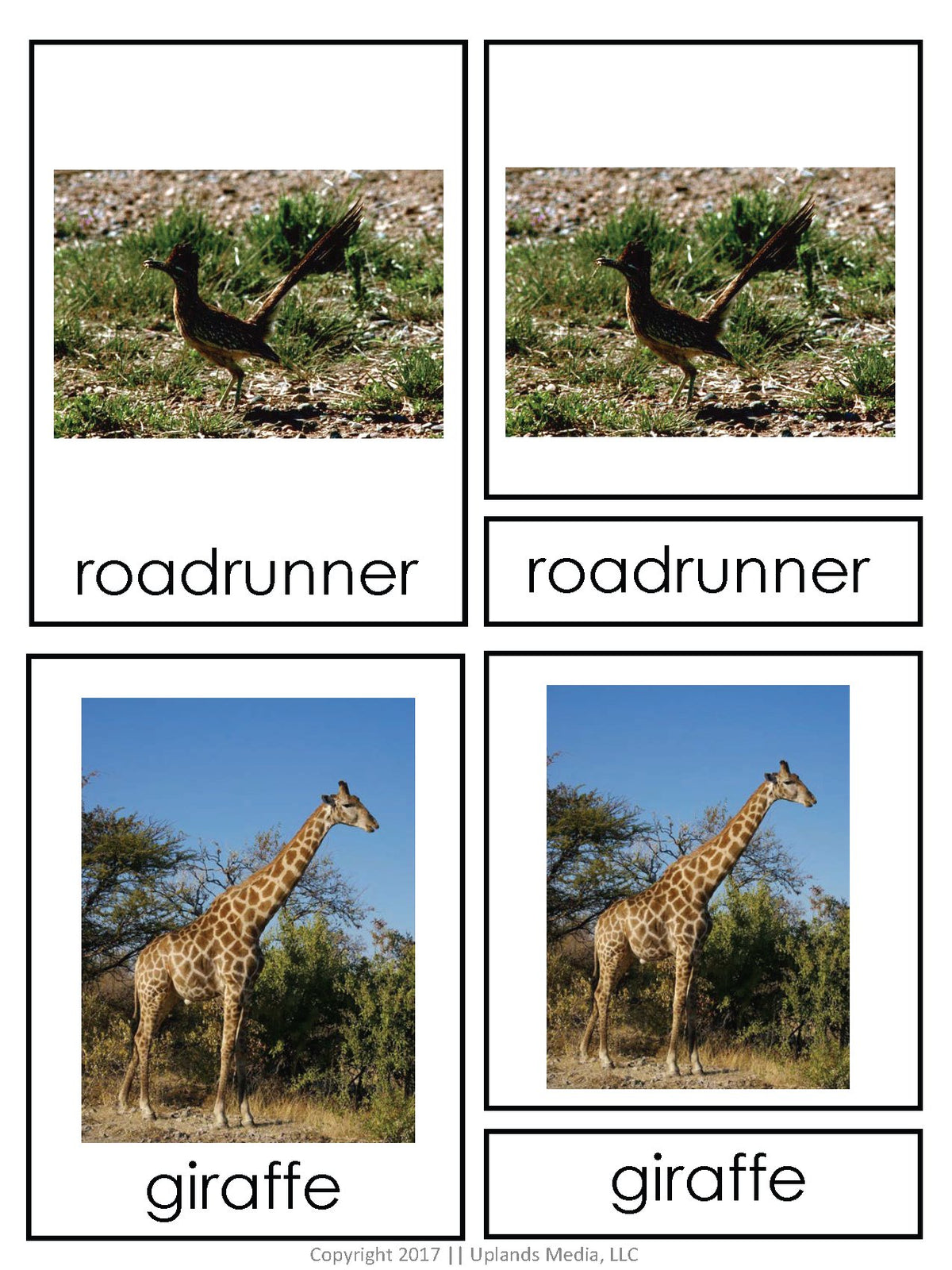 [Bundle] Montessori 3 Part Cards | Printables by Carrots Are Orange