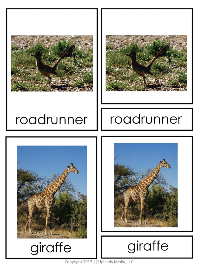 [Bundle] Montessori 3 Part Cards | Printables by Carrots Are Orange