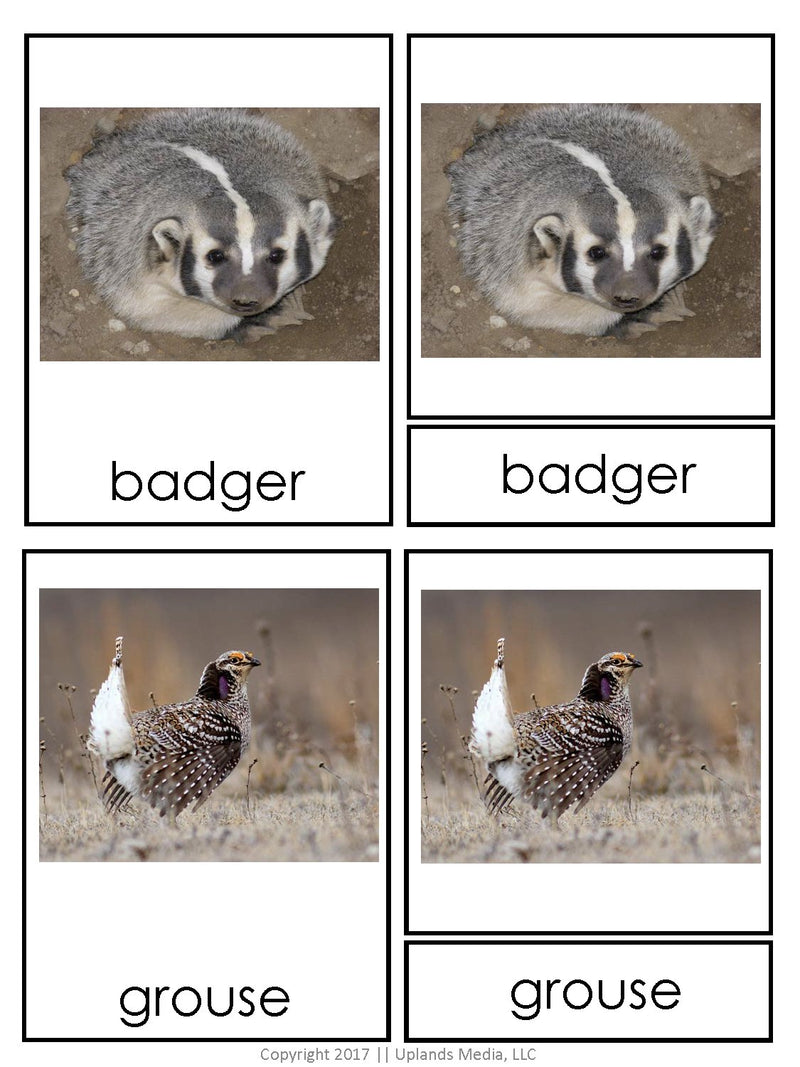 [Bundle] Montessori 3 Part Cards | Printables by Carrots Are Orange