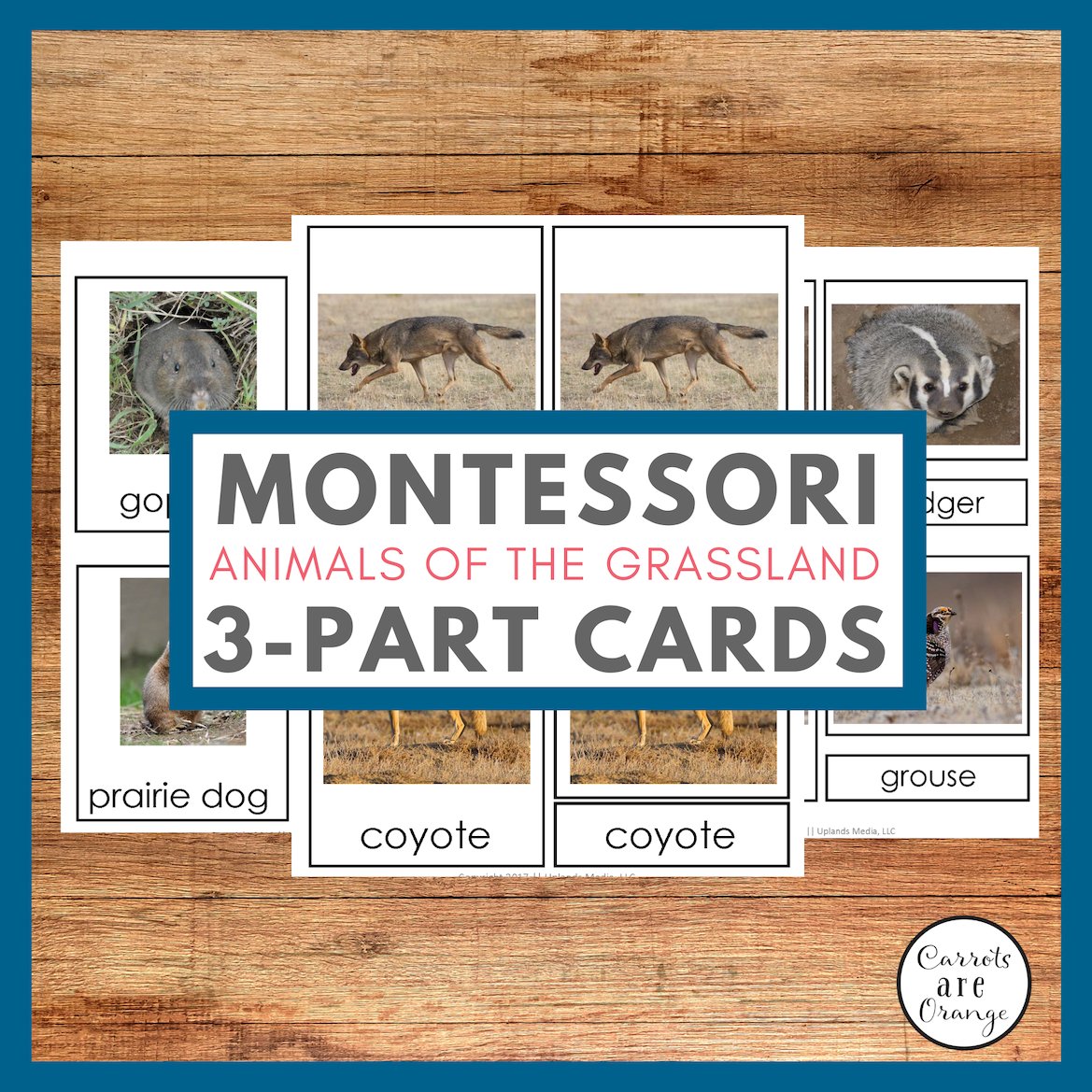Montessori 3-Part Cards - Printables by Carrots Are Orange | Printables ...