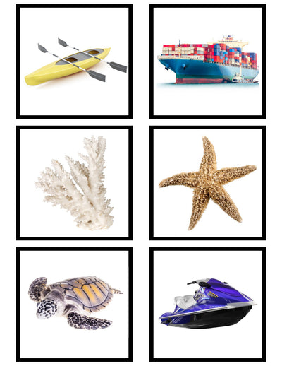 [Geography] Land, Air, Water Sort | Printables by Carrots Are Orange