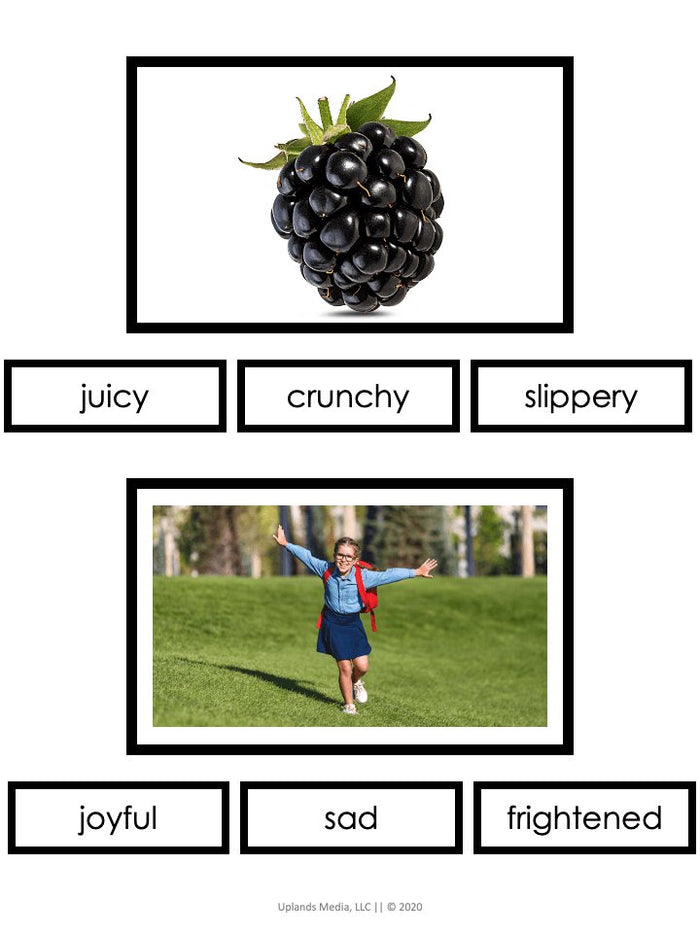 [Grammar] Adjectives Activities | Printables by Carrots Are Orange