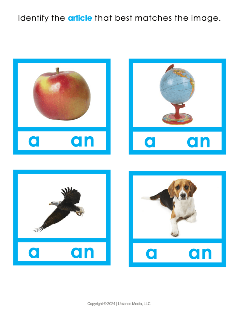 [Grammar] Articles Activities | Printables by Carrots Are Orange