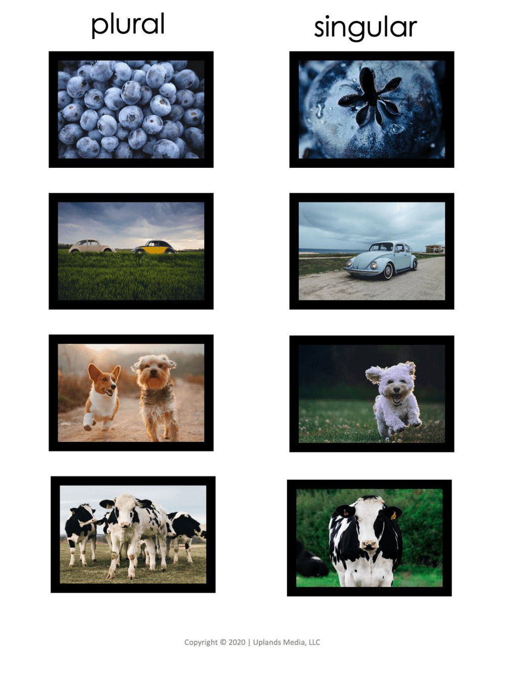 [Grammar] Noun Activities | Printables by Carrots Are Orange