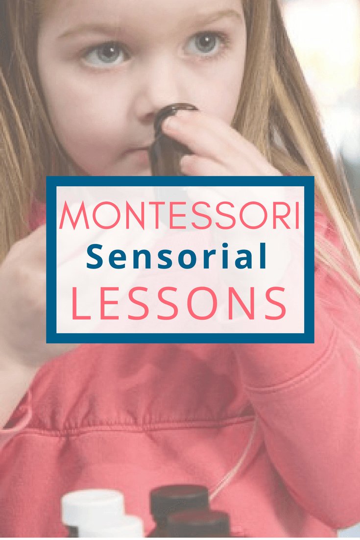 [Lessons] Montessori Sensorial | Printables by Carrots Are Orange