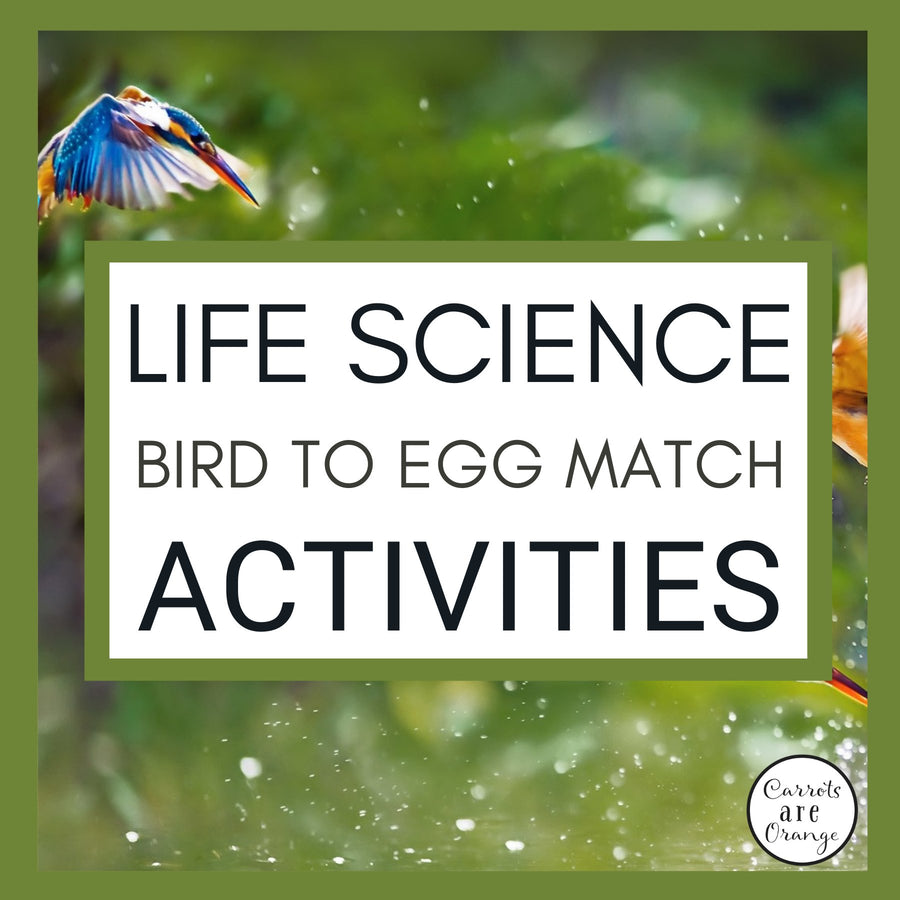 [Life Science] Bird to Egg Matching Activity | Printables by Carrots ...