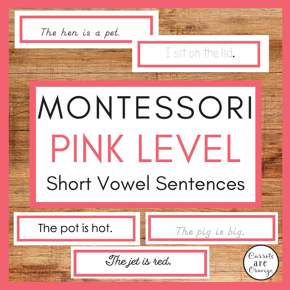 [Pink Level] Short Vowel Sentences | Printables by Carrots Are Orange