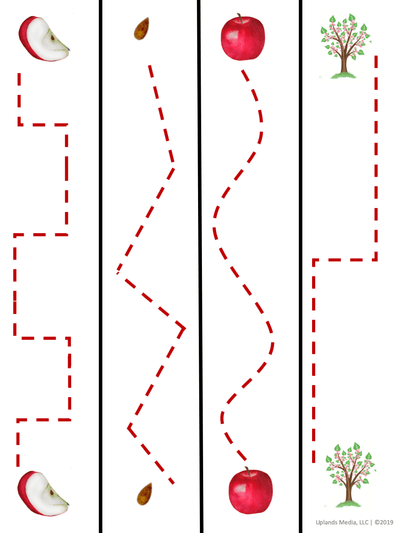 [Practical Life] Cutting Strips Bundle | Printables by Carrots Are Orange