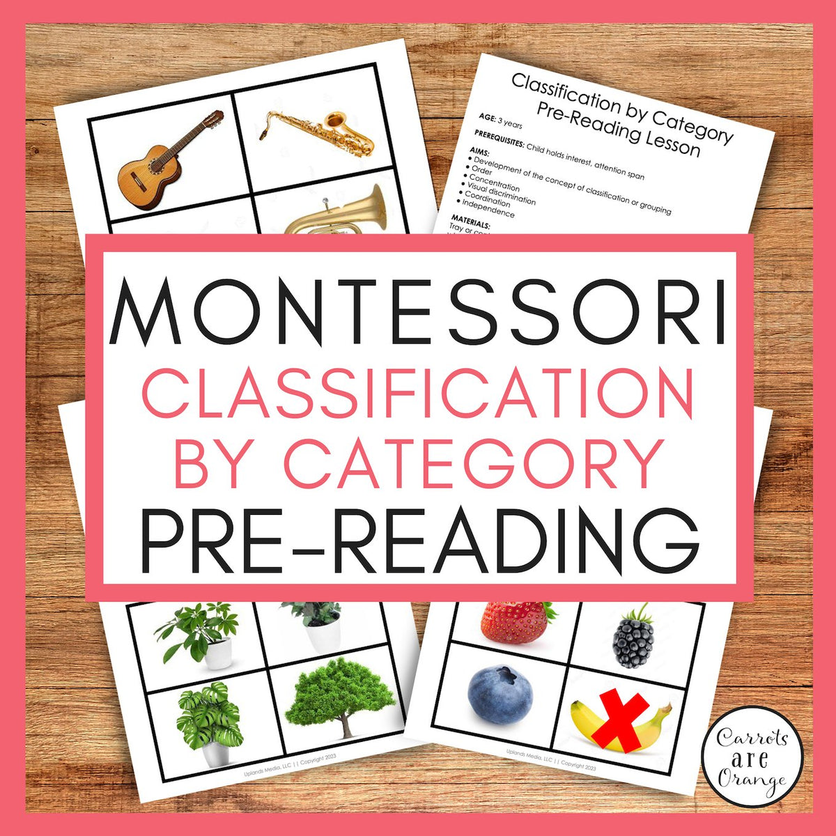 [Pre-Reading] Classification by Category Cards | Printables by Carrots ...