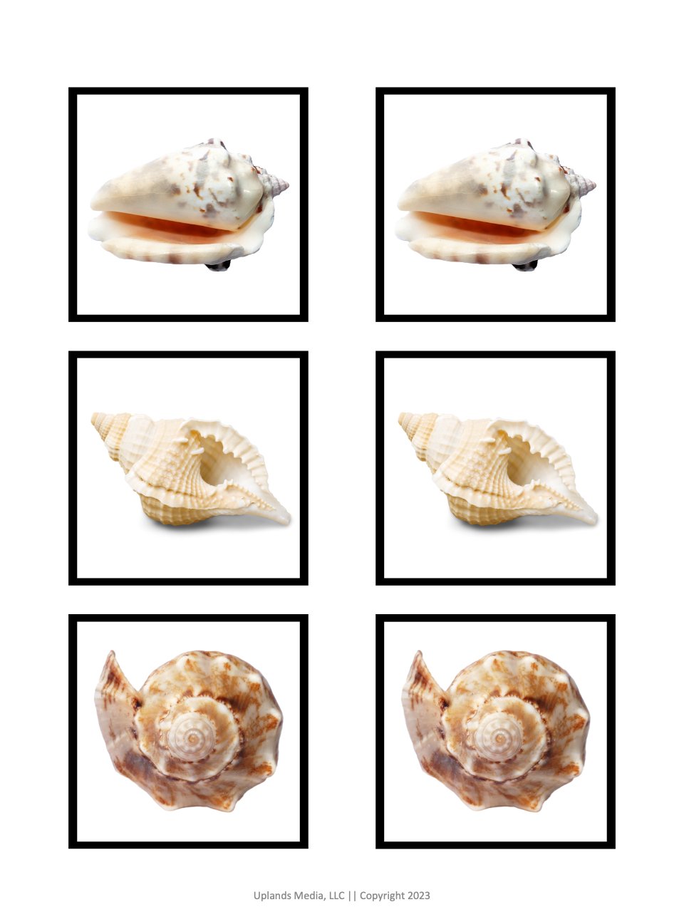 [Pre-Reading] Look Alike Matching | Printables by Carrots Are Orange