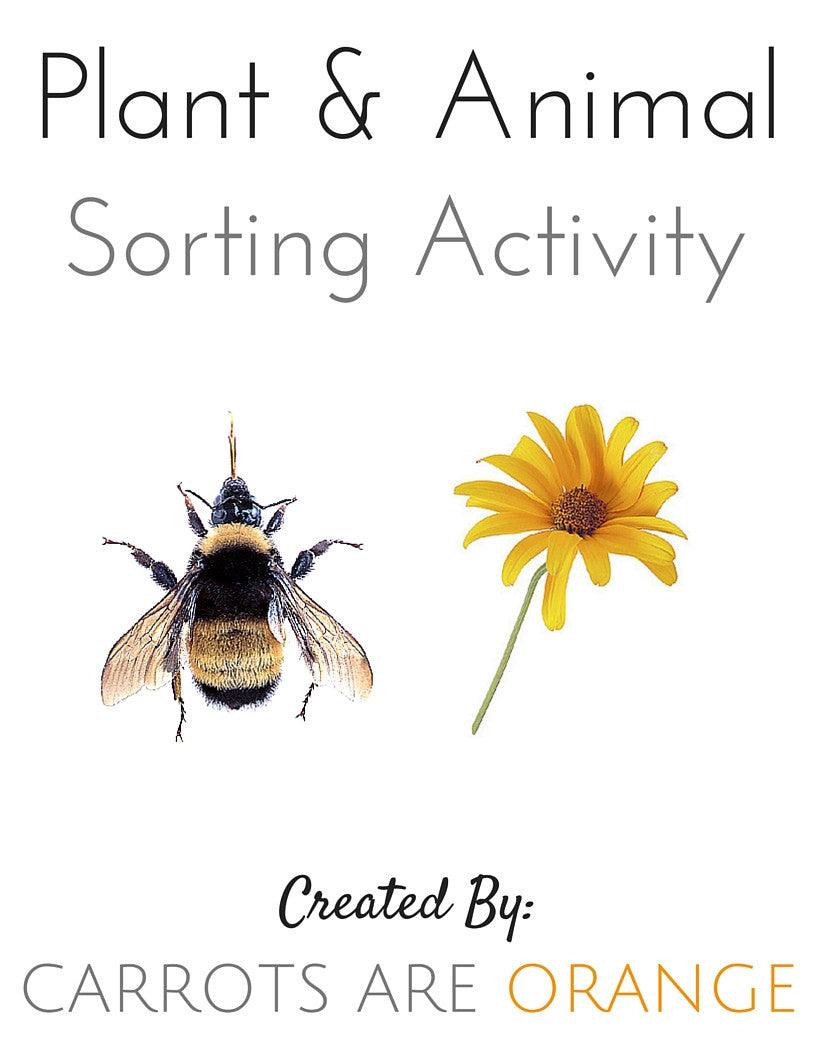 [Science] Plant & Animal Sort Activity | Printables by Carrots Are Orange