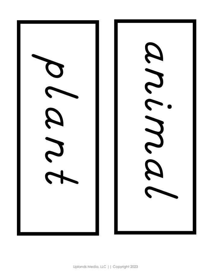 [Science] Plant & Animal Sort Activity | Printables by Carrots Are Orange