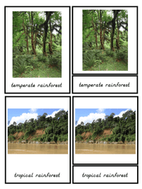 [Geography] Biomes of the World - Montessori 3 Part Cards | Printables ...